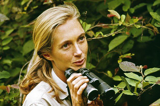 Jane Goodall's Birthday Celebration | HappyBday.to Jane Goodall's Birthday Celebration | HappyBday.to
