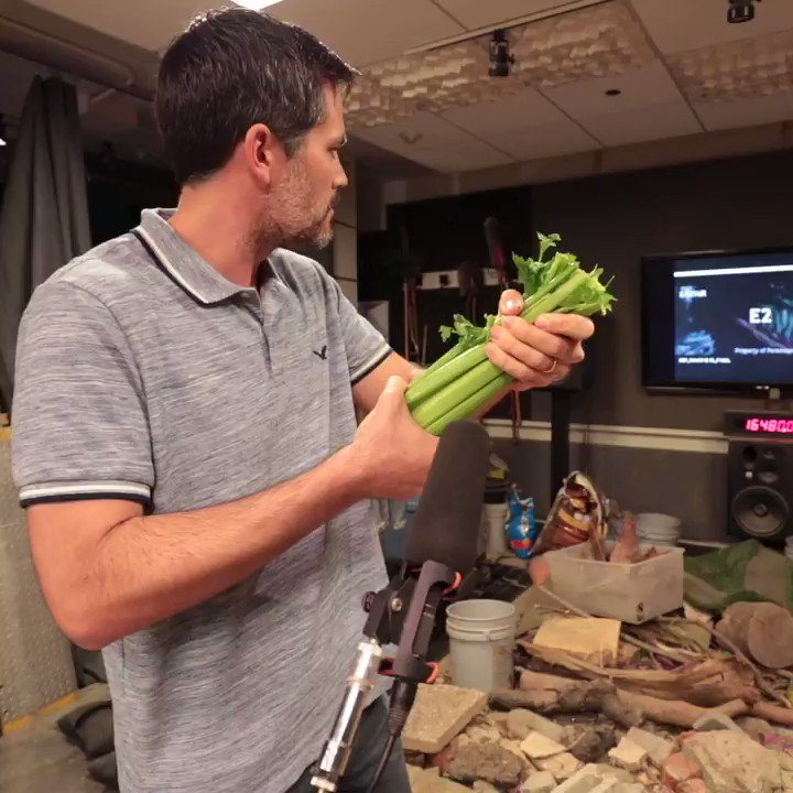 movie-menfess-on-twitter-mvs-this-is-how-the-sound-effects-in-a