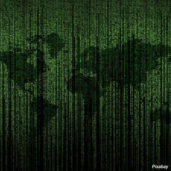 656 best Dark Web images on Pholder | Intellectual Dark Web, Web Design ...