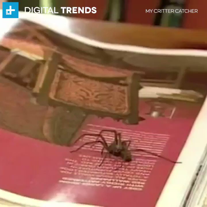 Digital Trends on Twitter: "This device catches bugs without killing ...