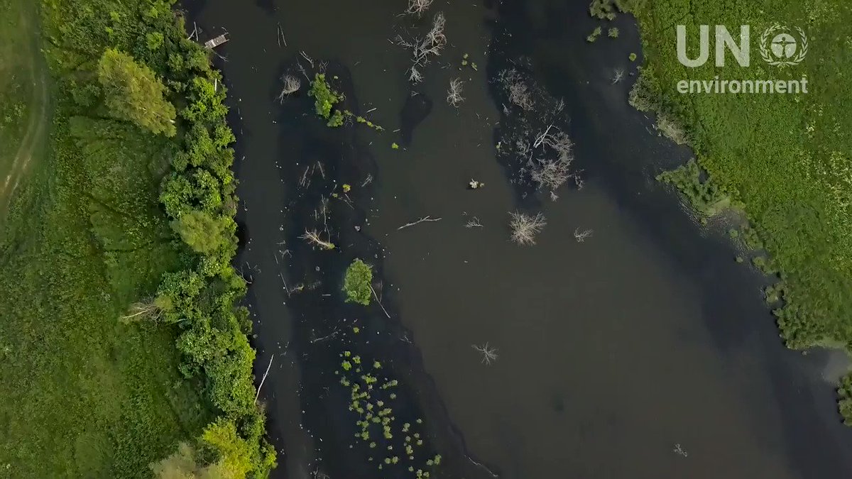UN Environment Programme on Twitter: UN Environment Programme on Twitter: