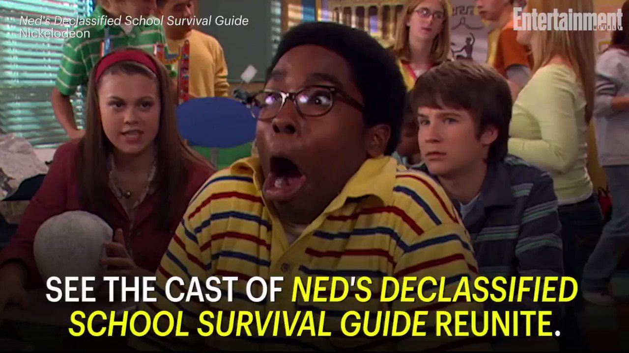 Neds Declassified School Survival Guide Logo