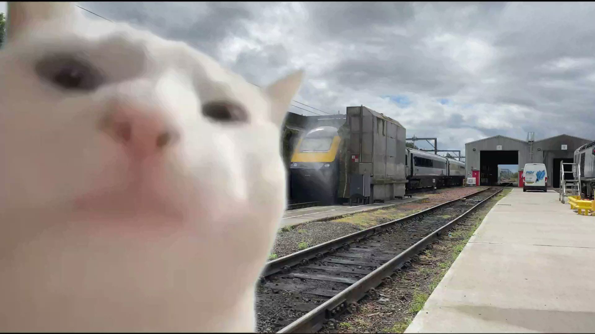 ScotRail (@ScotRail) / Twitter ScotRail (@ScotRail) / Twitter