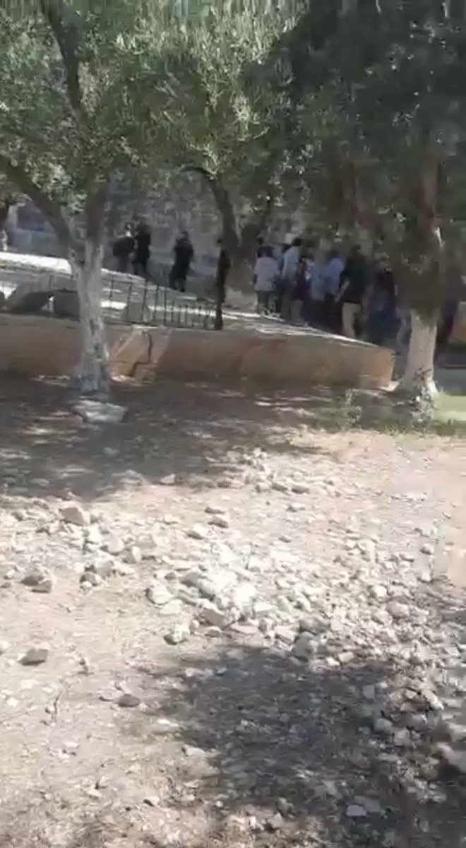 وكالة شهاب للأنباء On Twitter شاهد مرابطون يتصدون لقيام مستوطنين