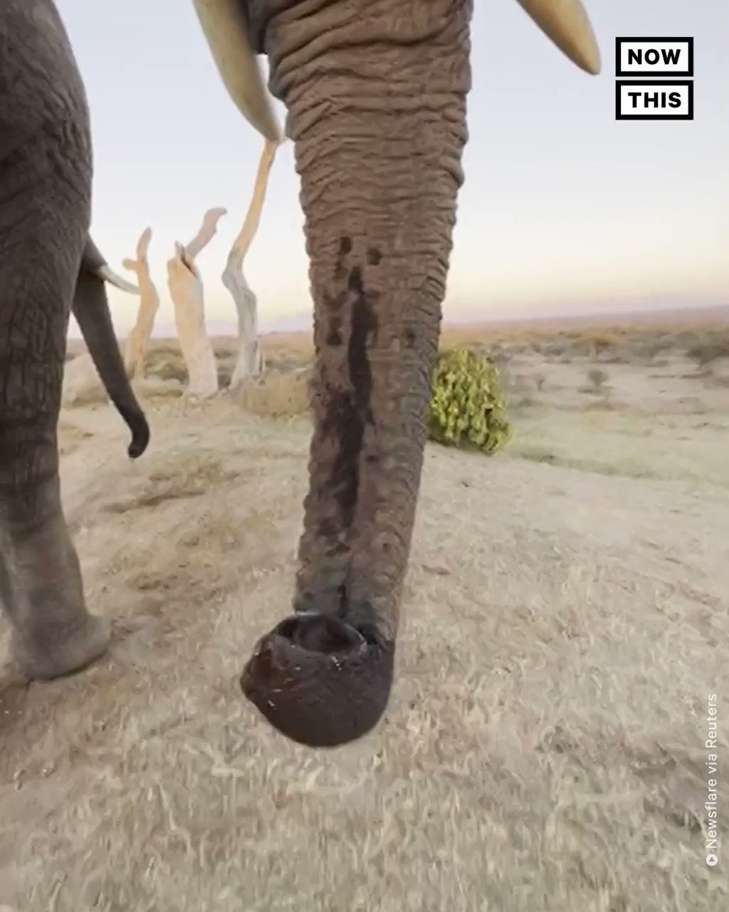 Pathum Ishara (배두마) ⓥ (@PrinceIsha123) / Twitter