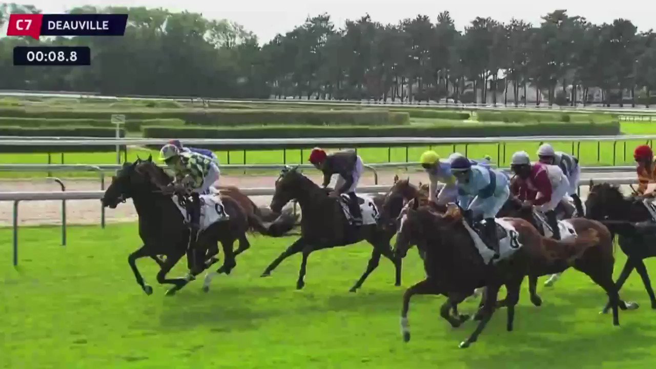 France Galop on Twitter: "[DIRECT🔴] #R1C7 @fgdeauville Px Daphnis (Gr3, 3ans, 1 600m) 🏁5-9-6-3 ...