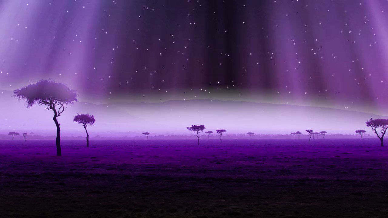 VeVe | Digital Collectibles on Twitter: "https://t.co/Iy3BcwOGXn" / Twitter