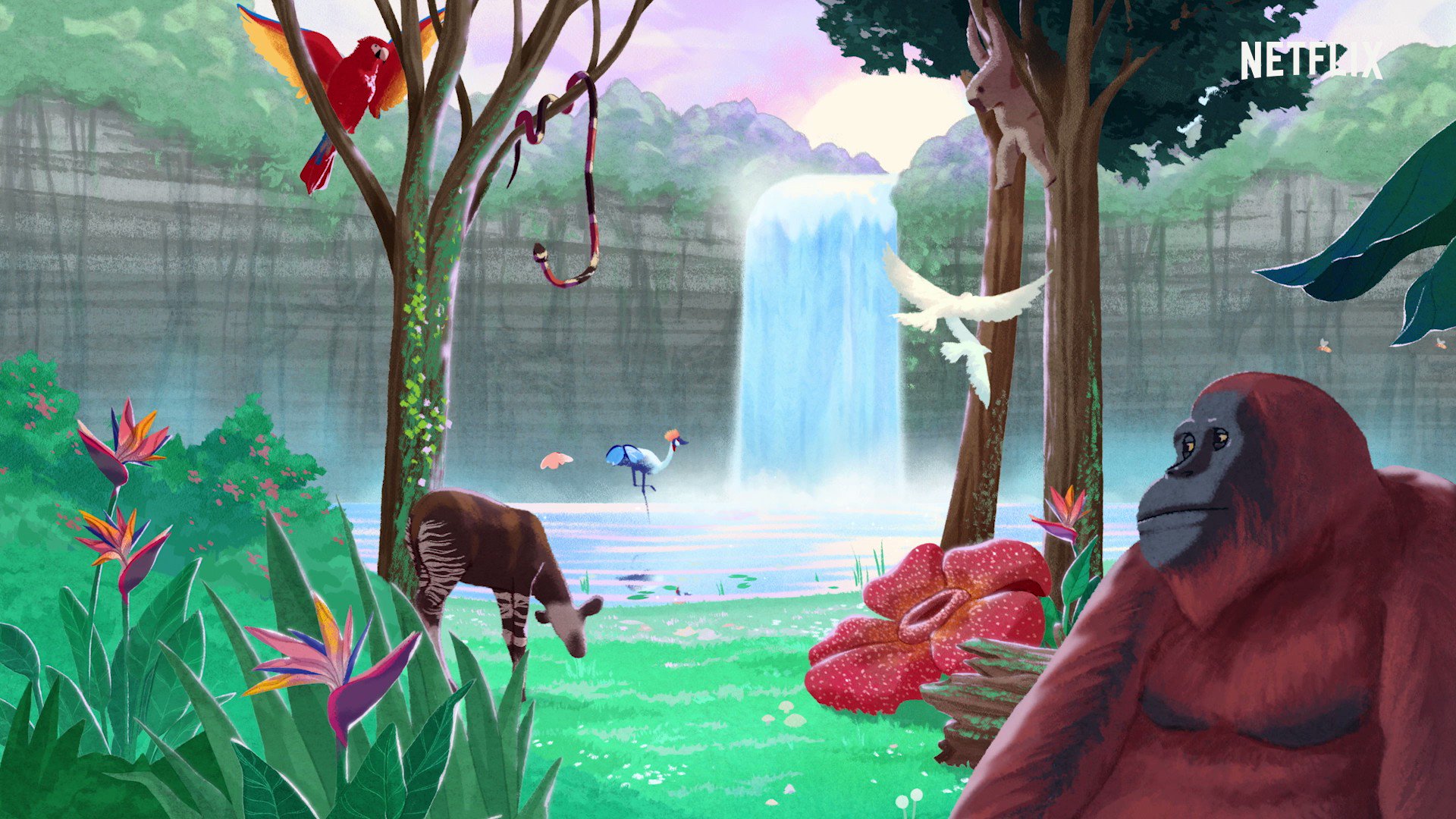 Netflix on Twitter: "This Earth Day, let this collection of films and ...