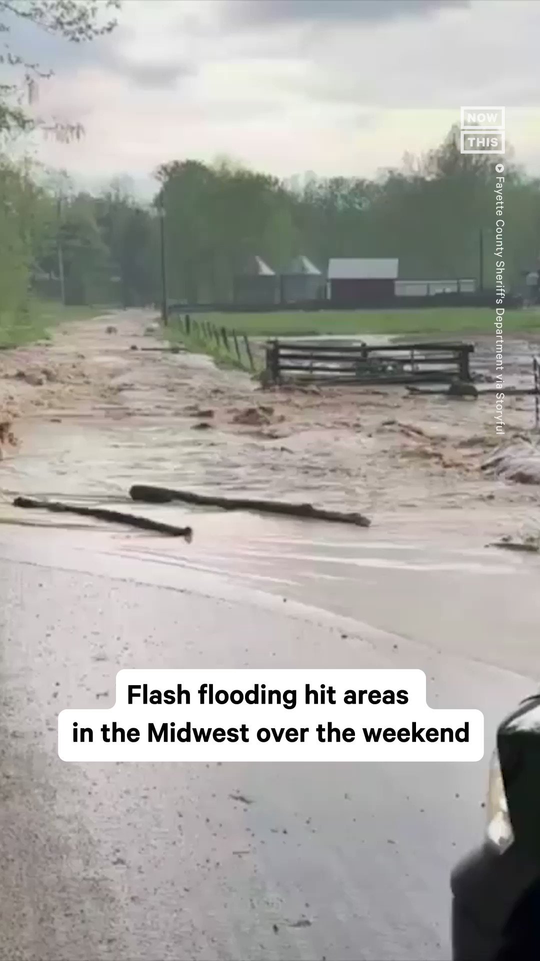 NowThis on Twitter: NowThis on Twitter: