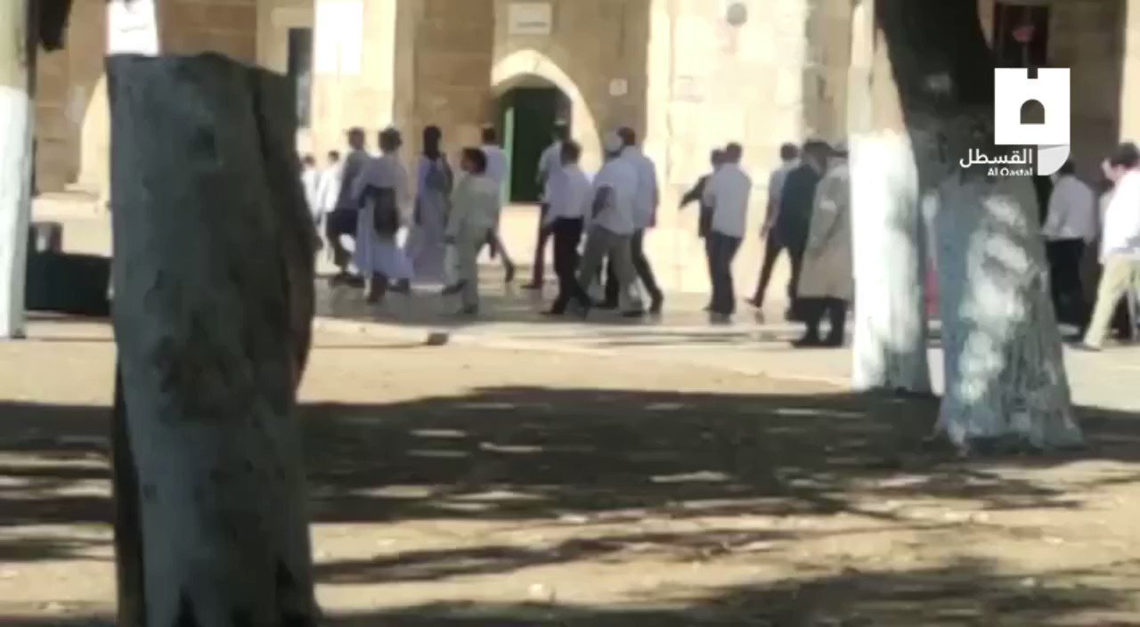 شبكة قدس الإخبارية On Twitter تغطية صحفية مستوطنون يواصلون اقتحام