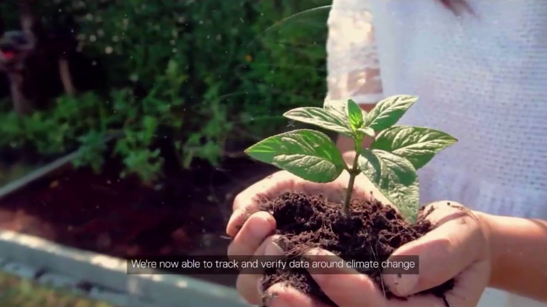 Dell Edge & Telecom on Twitter: "We've partnered w/ @Iota, BioE, & @ClimateCHECK to develop real ...