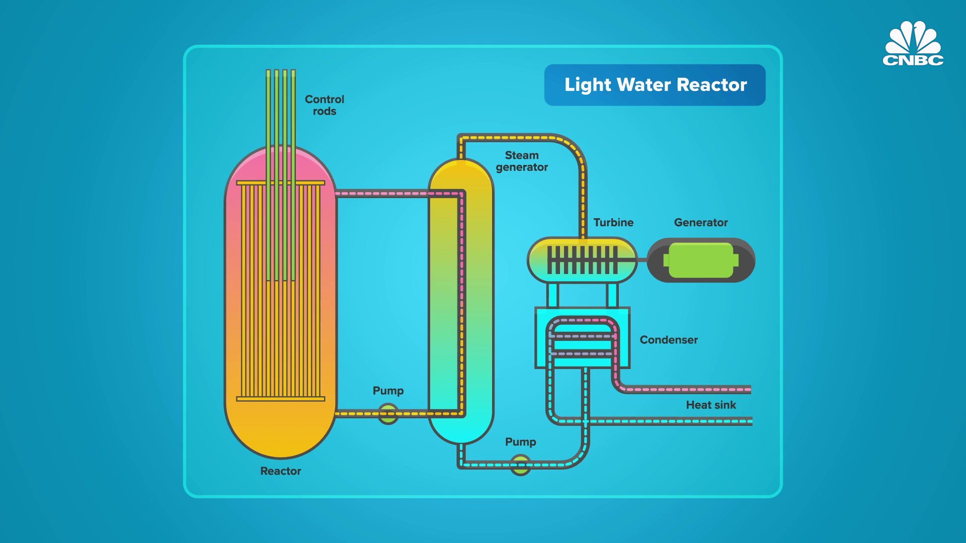 Light Water Reactor