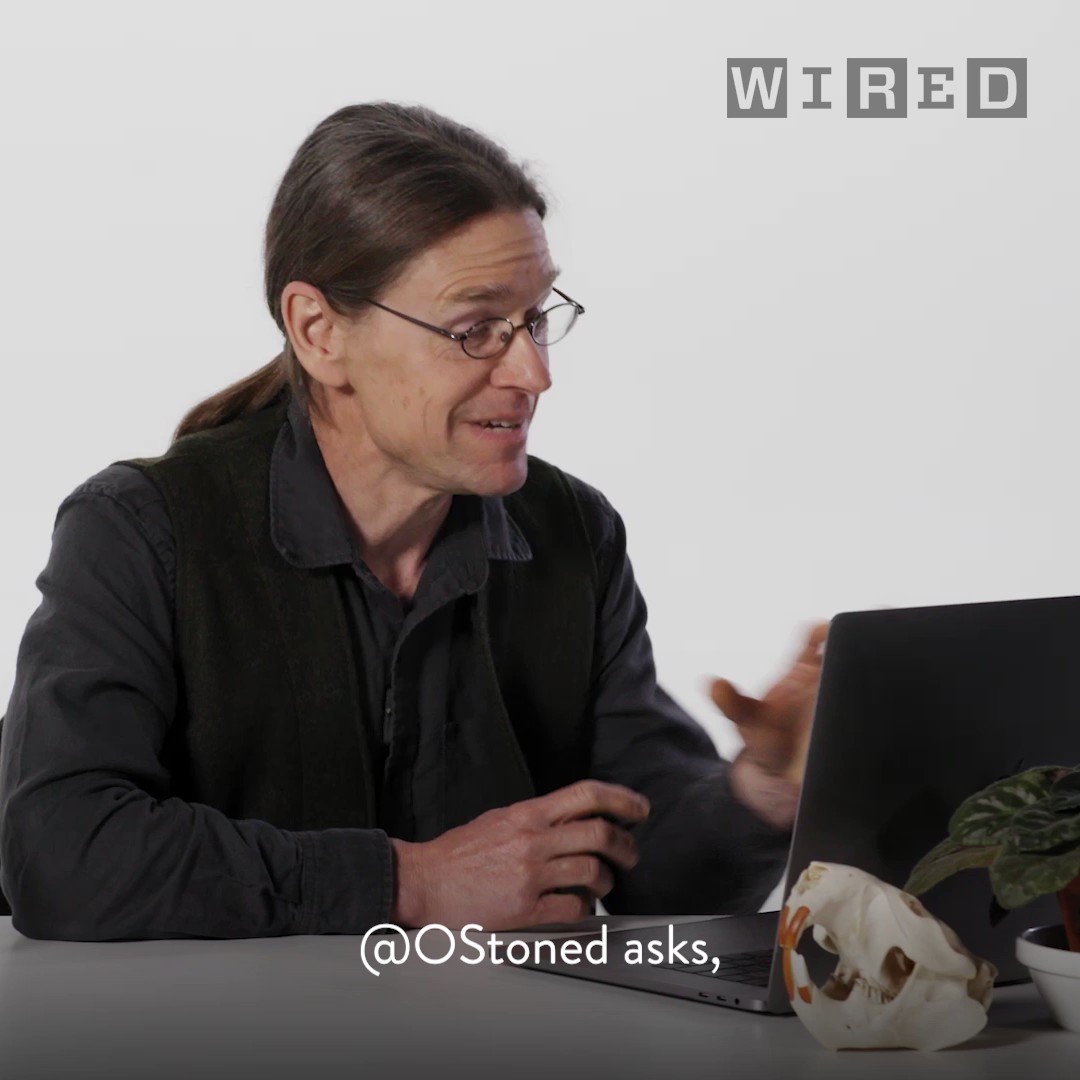 Katie Konans (@katiekonans) / Twitter