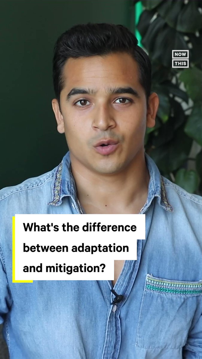 NowThis on Twitter: NowThis on Twitter: