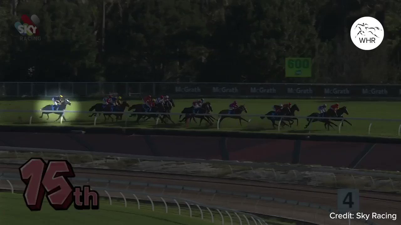 World Horse Racing on Twitter: World Horse Racing on Twitter: