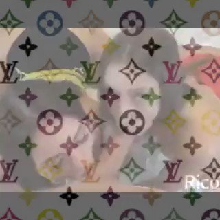 Digenjot Terus Sampe Tembem Bokep Indo 18+ (@DigenjotBokep) / Twitter