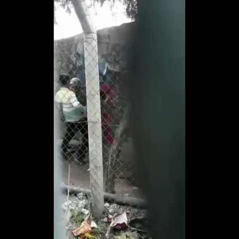 Download Video Bokep Indo Terbaru (@Rebecca60696146) / Twitter