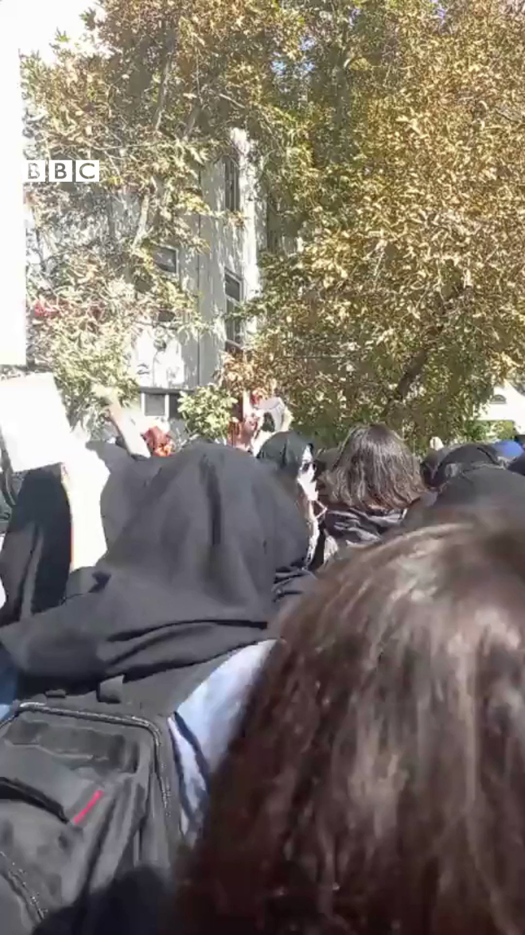 Bbc News فارسی On Twitter شماری از دختران دانشجو در دانشگاه الزهرا