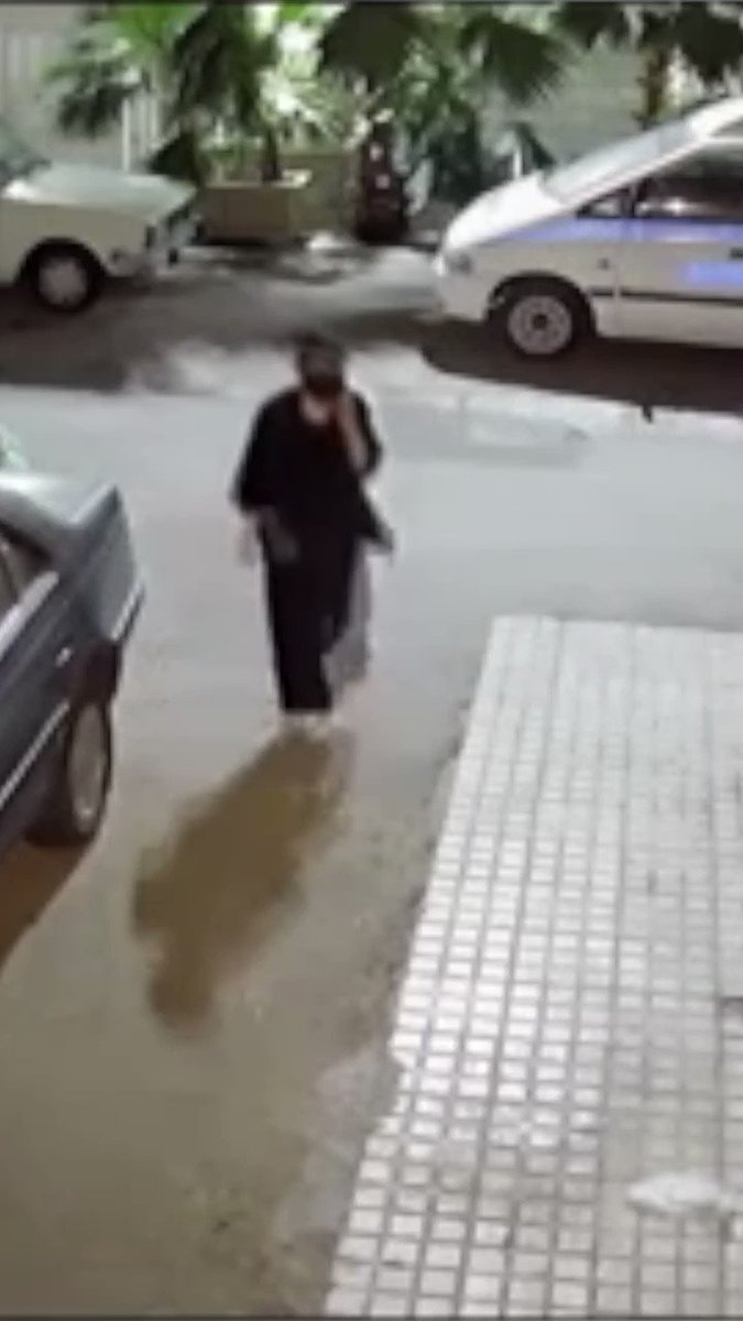 Bbc News فارسی On Twitter نسرین شاکرمی، مادر نیکا شاکرمی، یکی از
