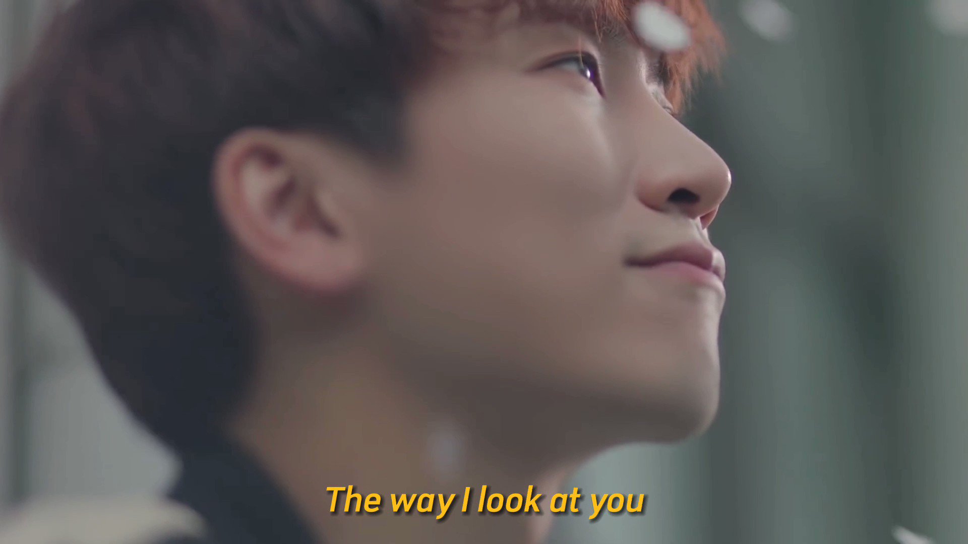 btob bridges (@btob_bridges) / Twitter