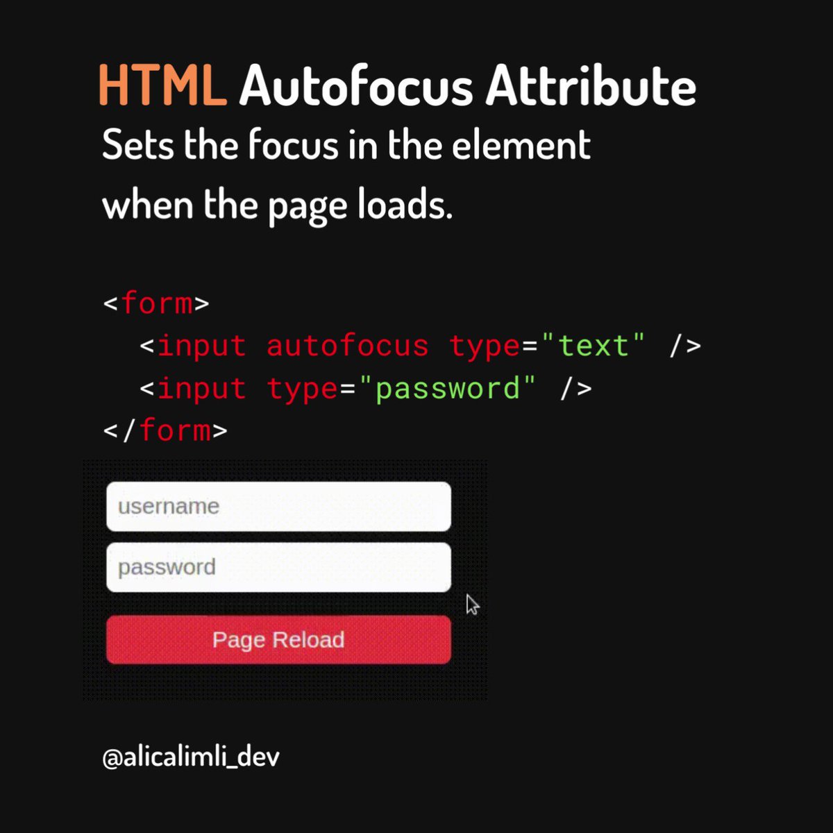 Ali 🎯 On Twitter Html Autofocus Attribute 👇