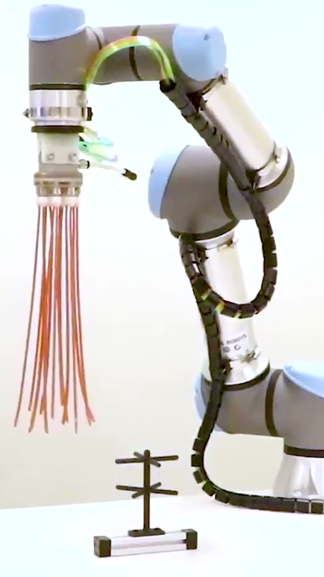 CNET on Twitter: "This tentacle robot can gently hold fragile objects. https://t.co/IQRAXdfZMO ...