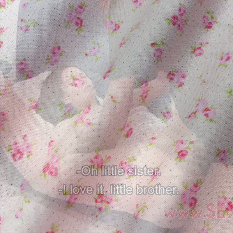 BOKEP INDO TERBARU Nonton Video 18+ HD 2022 (@AshlynWeis) / Twitter