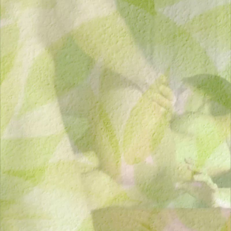 Malam sange Open vcs Nontop Bokep indo 18+ HD (@RosenbergAlecia) / Twitter