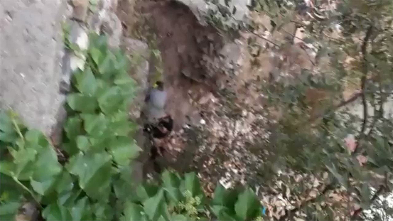 Kristen Viral Bokep Terbaru 20+ (@Kristen51656131) / Twitter