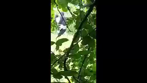 Bokep Abg Ketagihan Minta Di (@Jennife07121827) / Twitter