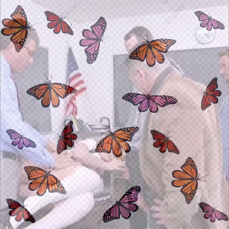 Video Mesum Bokep Indo 18+ HD 2022 (@mesumhorny) / Twitter