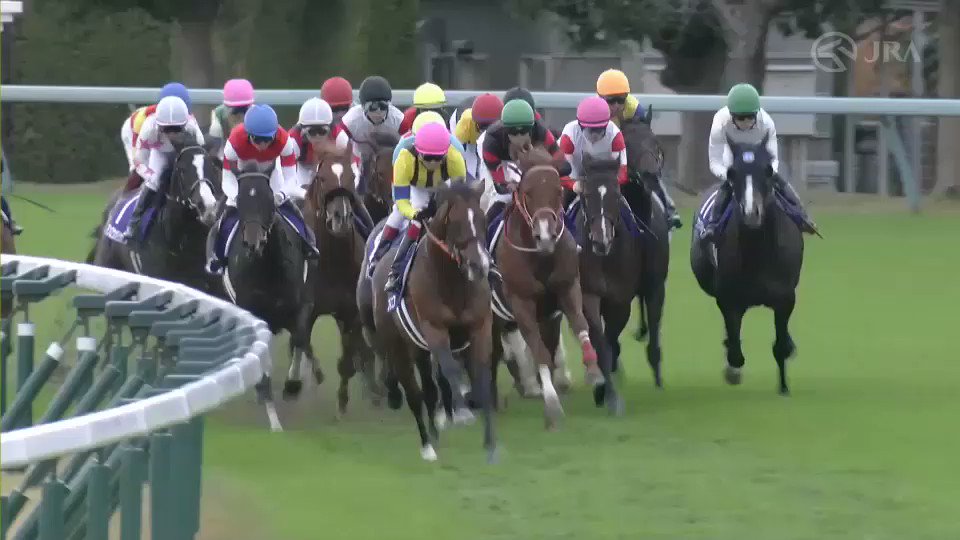 HorseRacingInJapan on Twitter: "【Mile Championship (G1), 1600m, Hanshin, JRA】 Winner: Serifos ...