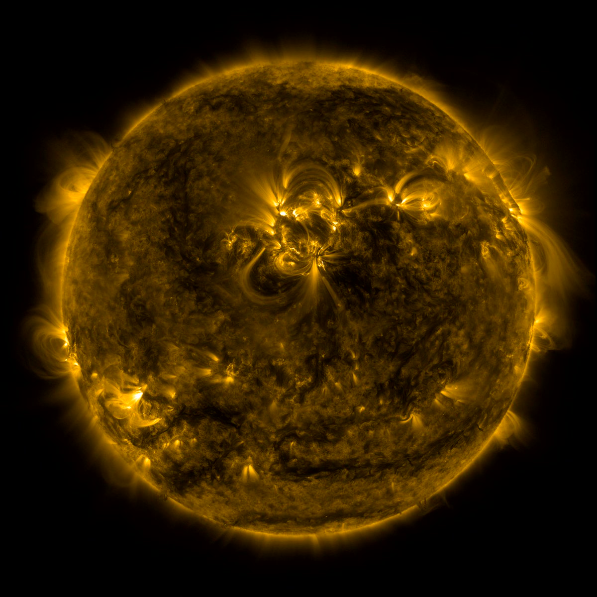 NASA Goddard on Twitter: "RT @NASASun: Happy #SunDay! Over the past ...