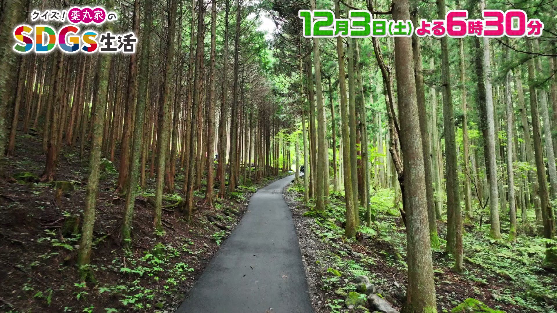 BS-TBS on Twitter: "⏰明日12/3(土)よる6時30分 「クイズ！#薬丸家のSDGs生活」 @yakumarukebstbs 奥多摩SDGsツアー第2弾！ 薬丸家が、伐採や ...