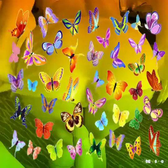 MandieSecore HD 2022 (213) bokep indo (@MandieSecore) / Twitter