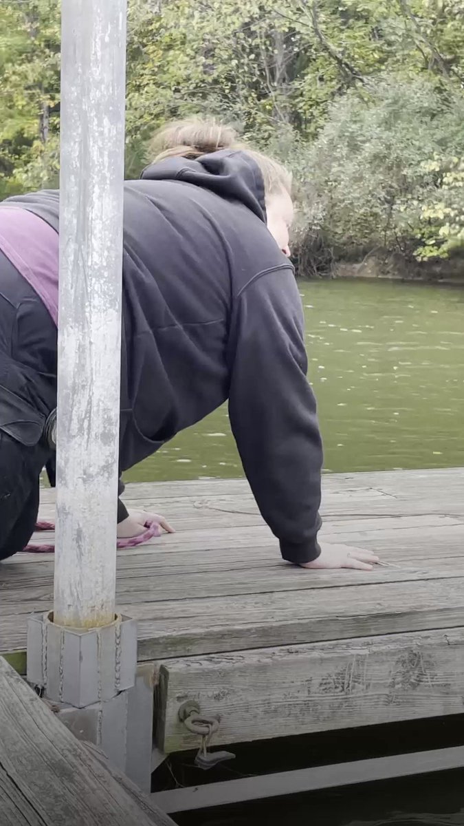 The Dodo on Twitter: "Husky who wouldn't let anyone touch her wags her tail for the first time ...