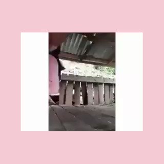 tobrut kesukaan kalian lagi omek bokep indo mesum (@TobrutIndo) / Twitter