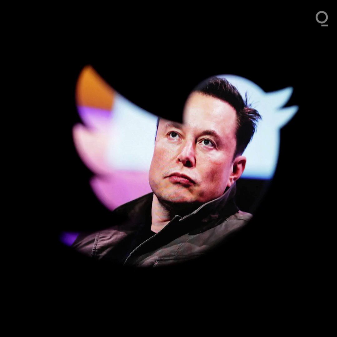 Twitter Will Restrict Voting On Major Policy Decisions To Paying Twitter Blue Subscribers Musk