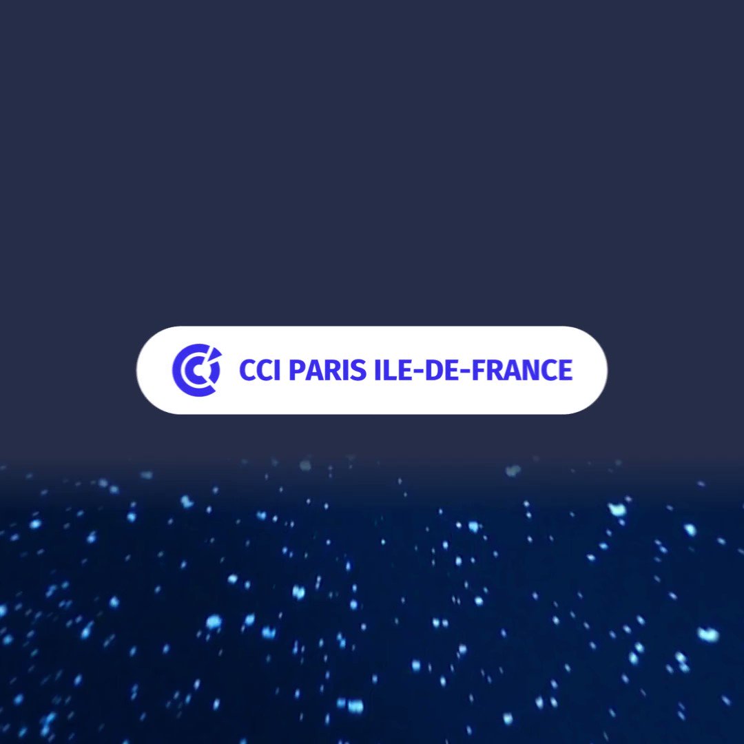 CCI Paris IdF on Twitter: "La @CCI_Paris_IdF vous souhaite un Joyeux #NOEL2022 🎄🎅 Privilégiez ...