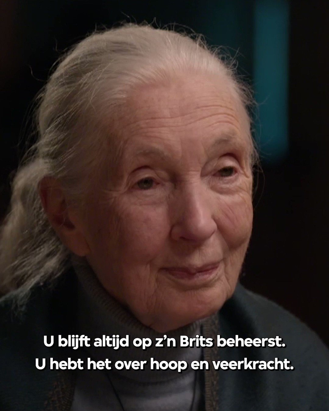 vpro on Twitter: vpro on Twitter:
