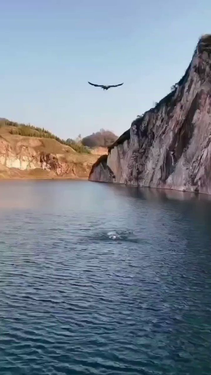 GeotechTips on Twitter: GeotechTips on Twitter: