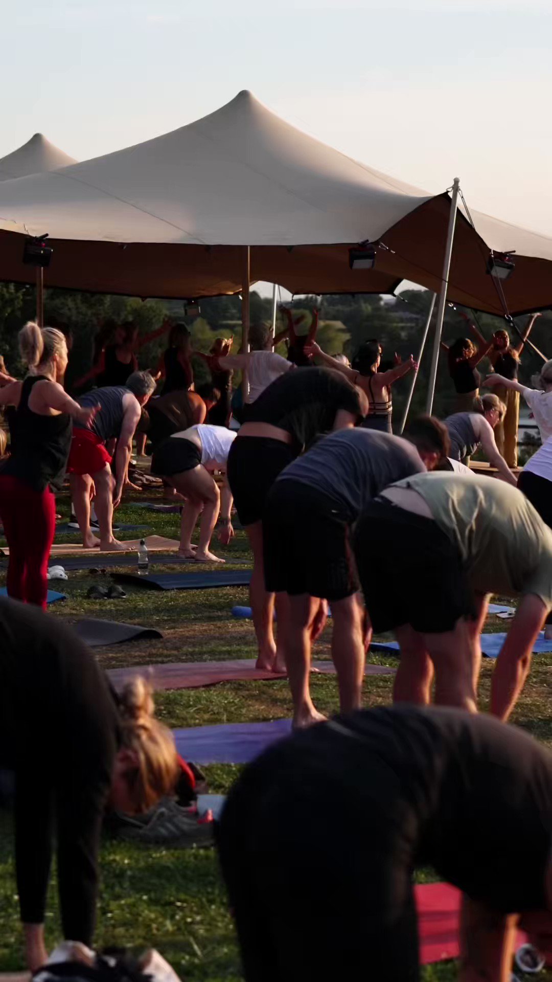 The Farm Club (@The_Farm_Club) / Twitter