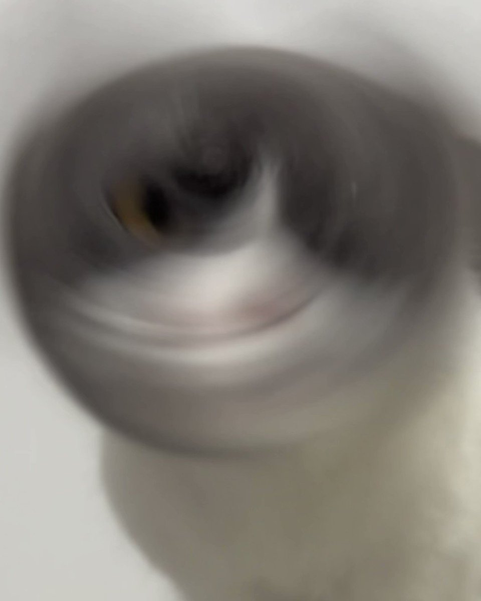 9GAG ️ Memeland on Twitter: 9GAG ️ Memeland on Twitter: