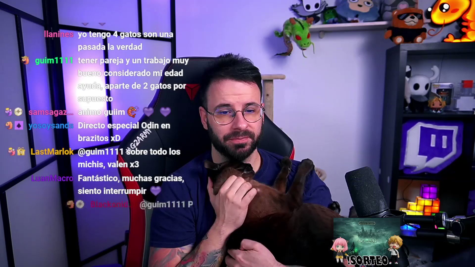 Barbe on Twitter: "@KOI Puto gato jsjsjsjdbdb" / Twitter