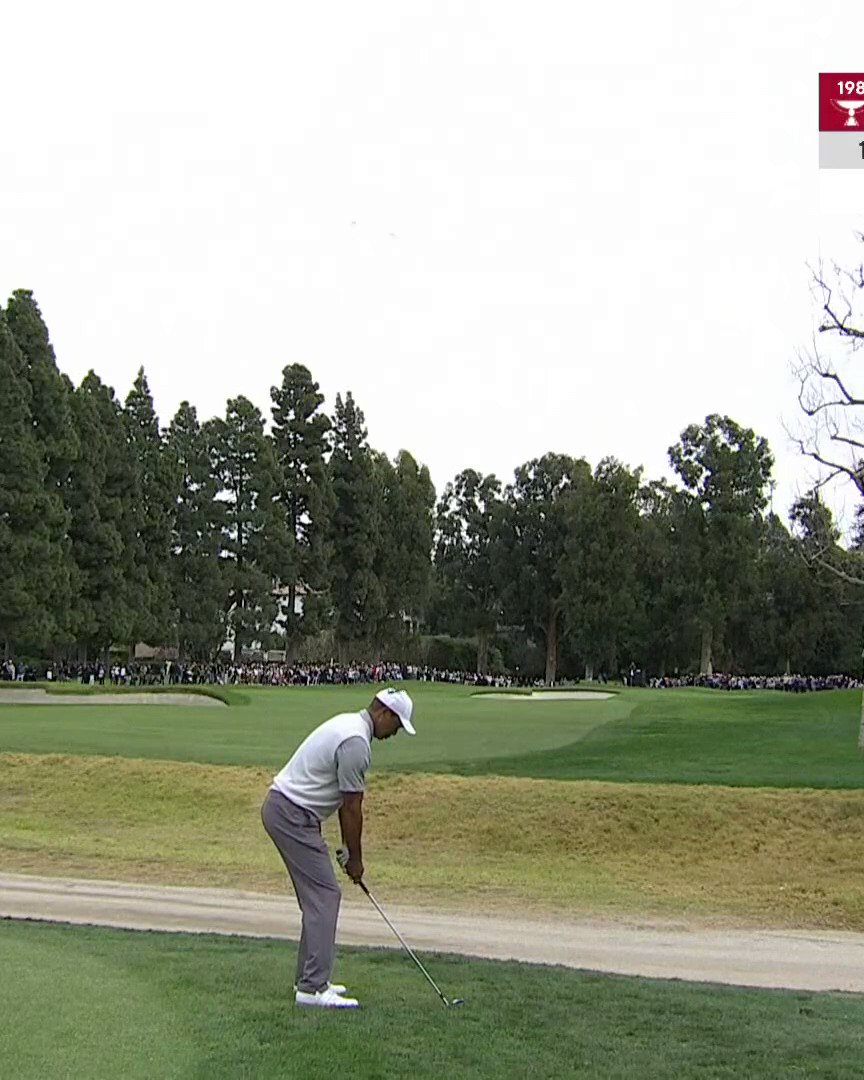 Abka Fitz-Henley (@AbkaFitzHenley) / Twitter