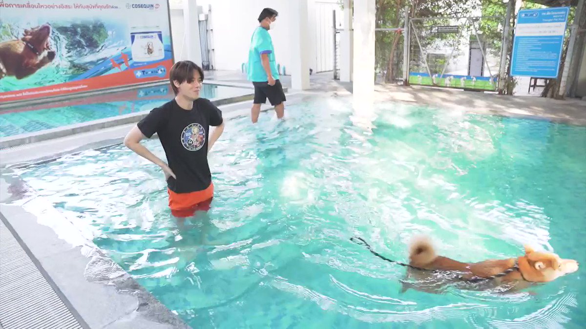 Yï NⓎinʕᵔᴥᵔʔ เบเบี๋พัพพี้ของพิ๊มี่ ♡♡ On Twitter Rt Iyinyou พิซู