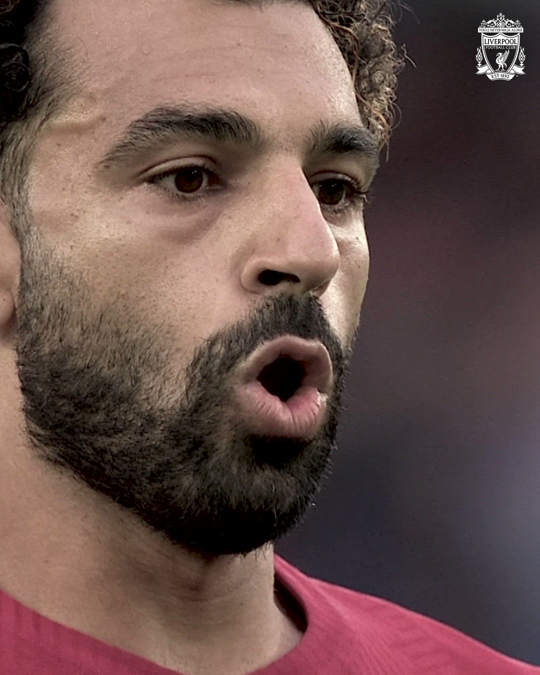 Liverpool FC on Twitter: "2️⃣0️⃣+ goals in every season as a Red... 🇪🇬 @MoSalah 👑 https://t.co ...