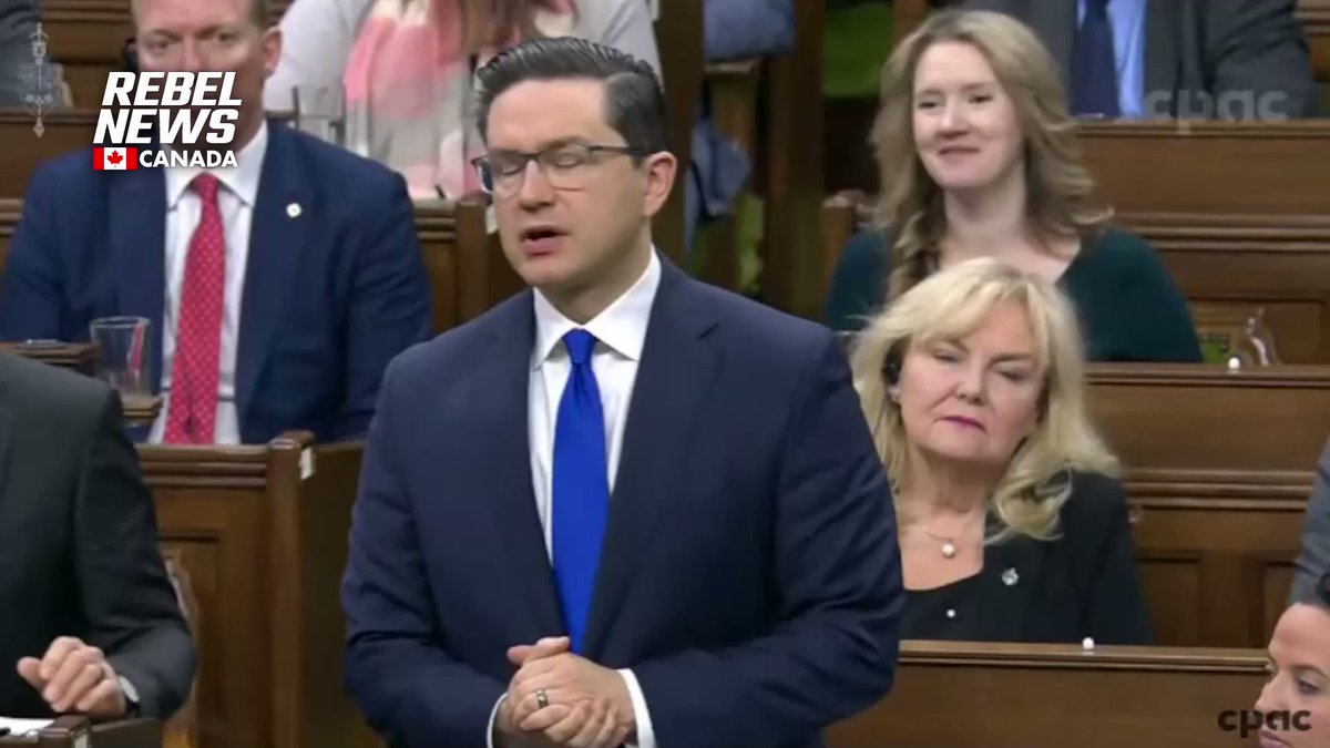 Rebel News On Twitter Four Different Times Pierre Poilievre Asks