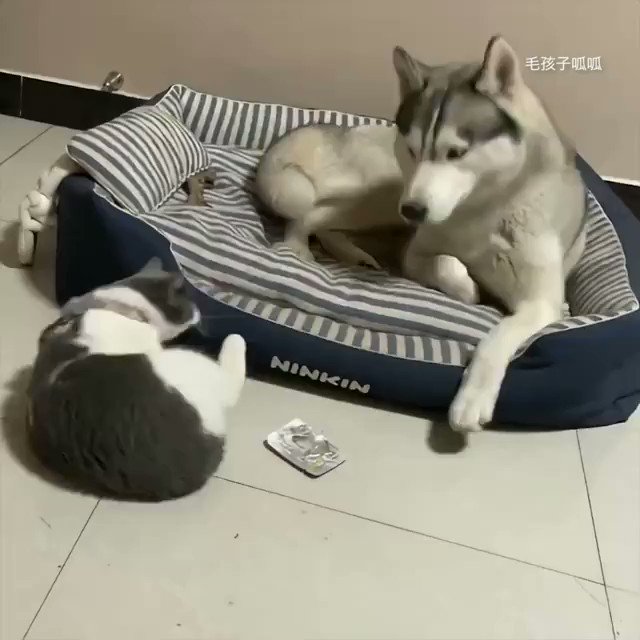 9GAG ️ Memeland on Twitter: 9GAG ️ Memeland on Twitter: