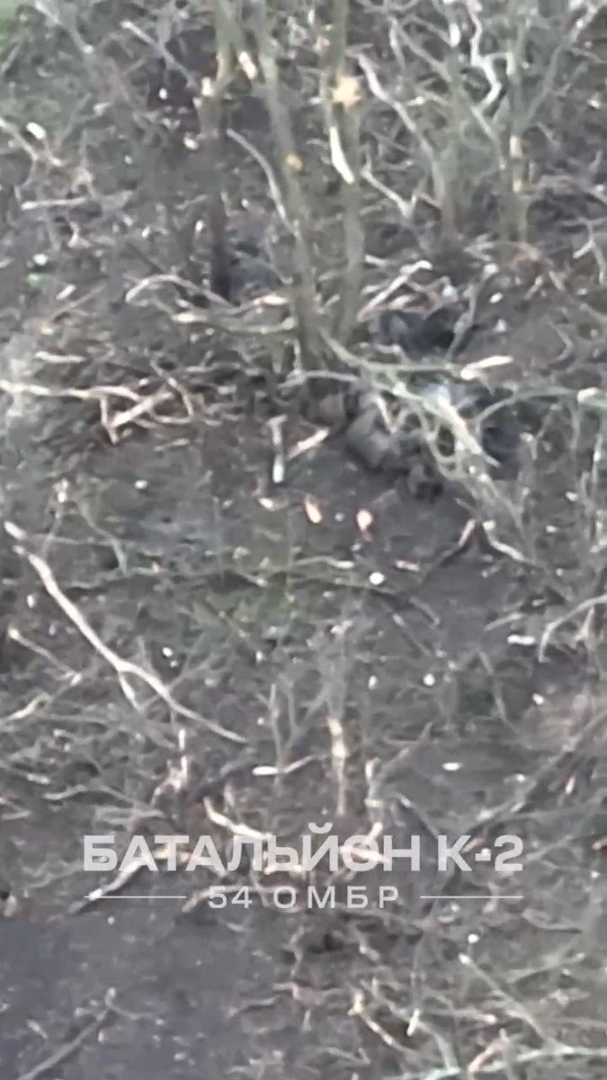 Оперативний ЗСУ On Twitter К2 54 ОМБр показала як росіянин заривається в землю щоб ми його